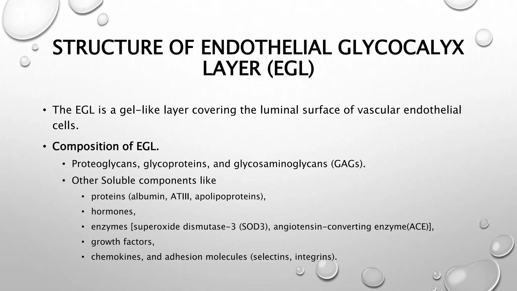 Endothelial Glycocalyx (EGL) and Fluid Management | PPTX