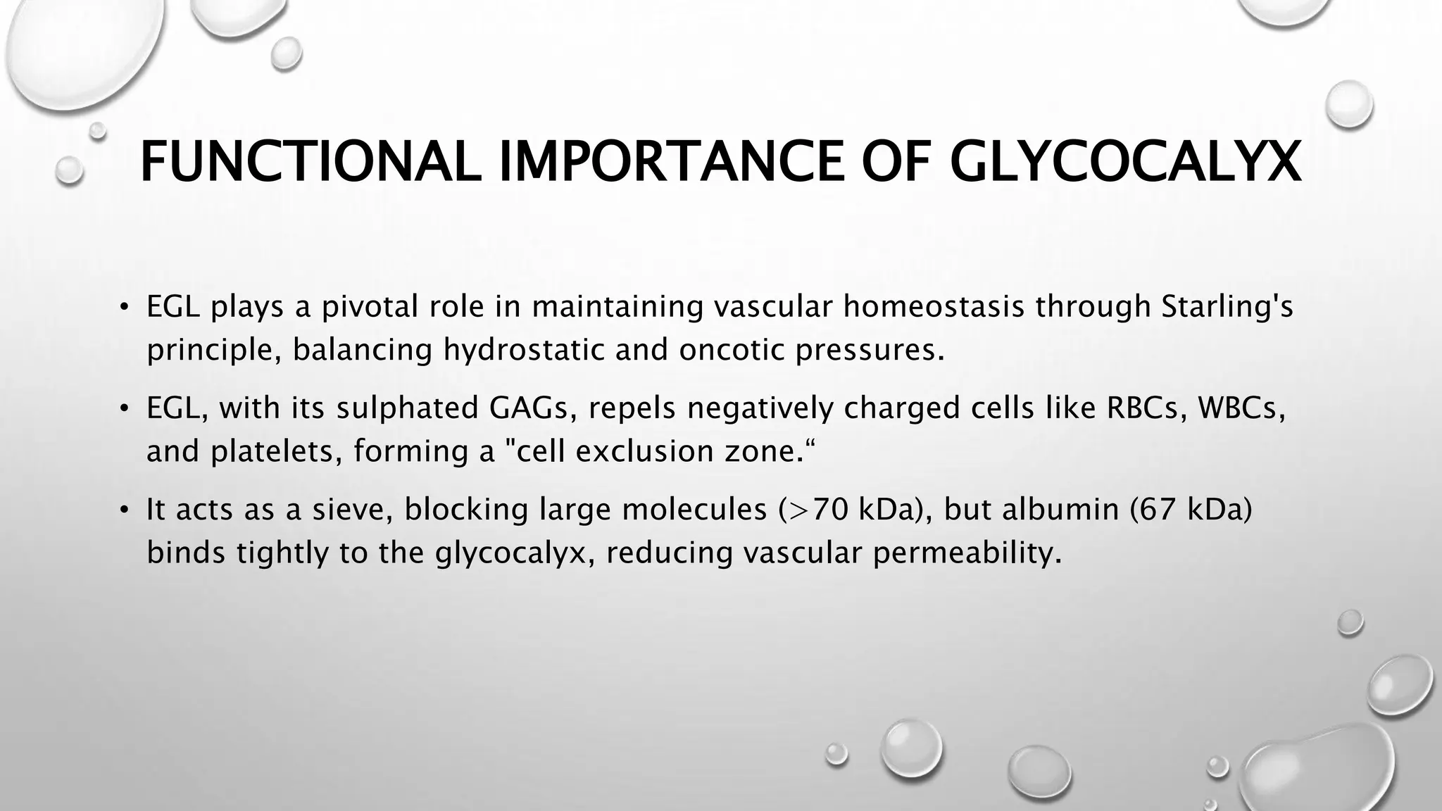 Endothelial Glycocalyx (EGL) and Fluid Management | PPTX