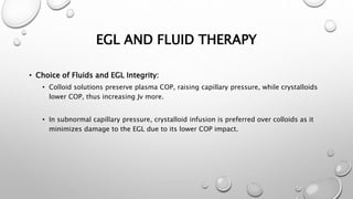 Endothelial Glycocalyx (EGL) and Fluid Management | PPTX