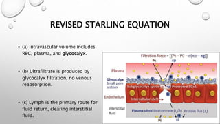 Endothelial Glycocalyx (EGL) and Fluid Management | PPTX