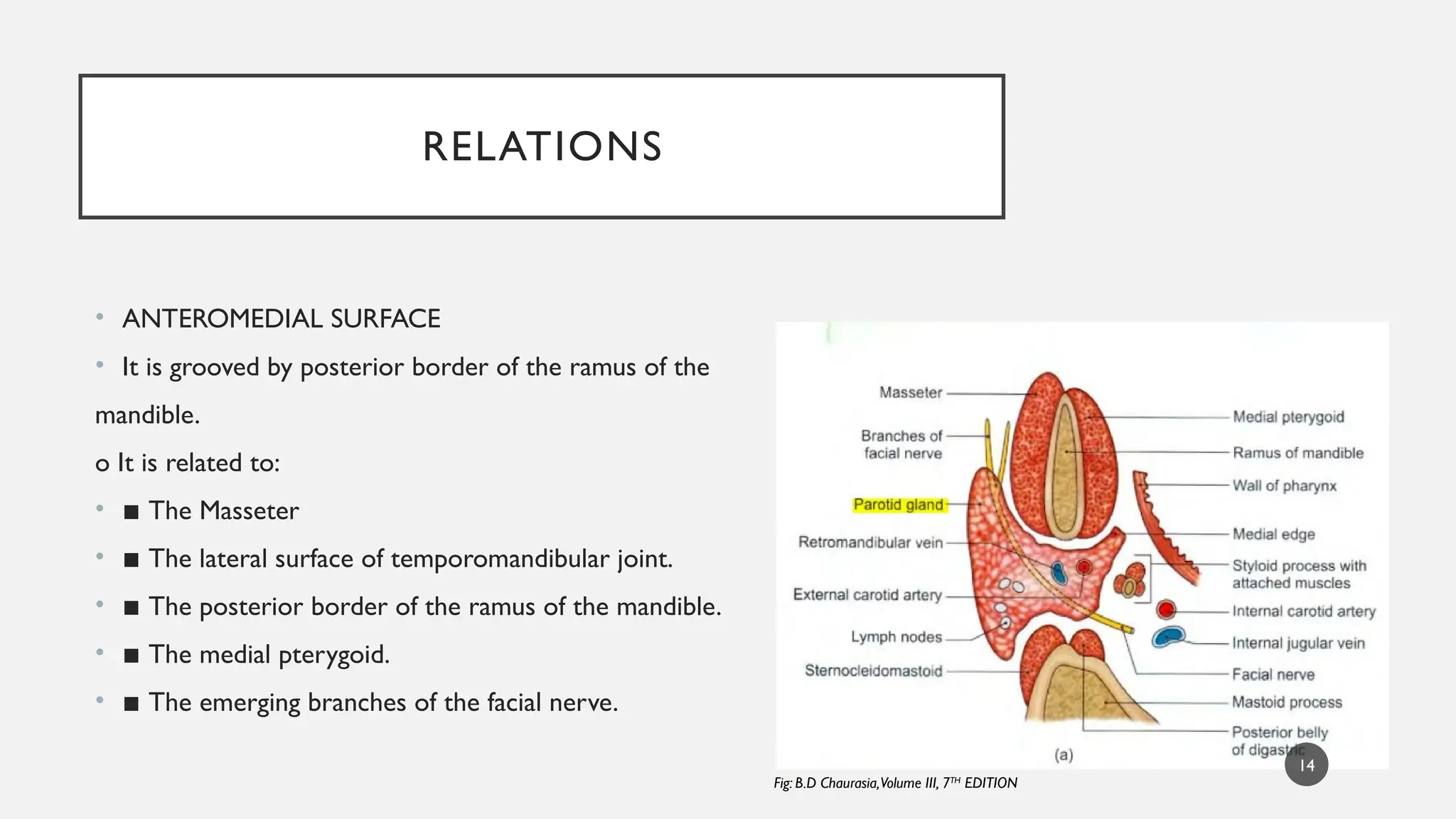 Parotid gland anatomy, surgical anatomy, disease | PPTX