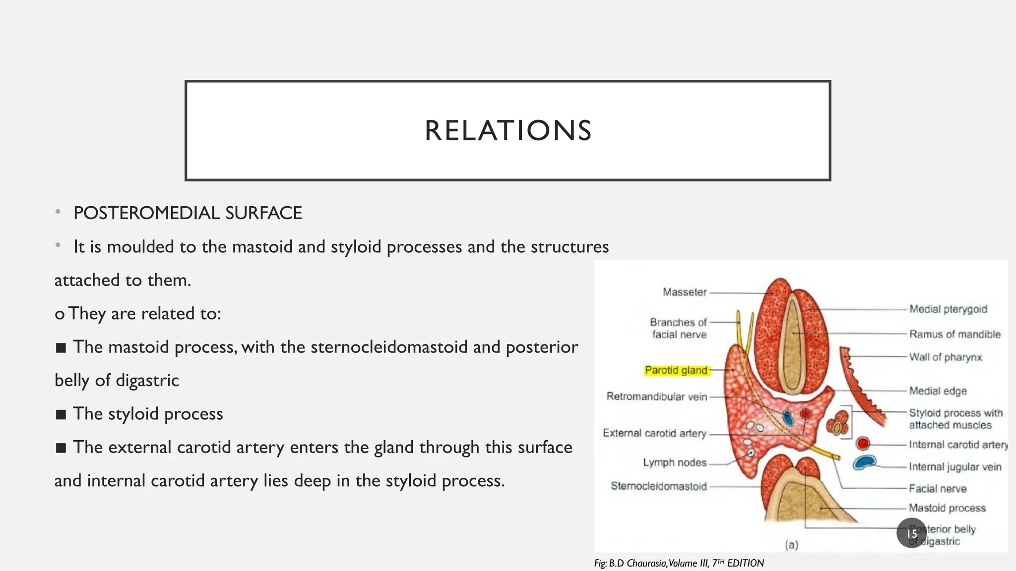 Parotid gland anatomy, surgical anatomy, disease | PPTX
