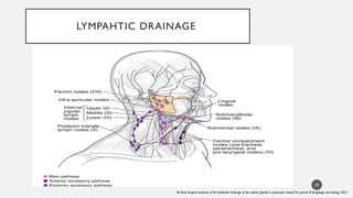 Parotid gland anatomy, surgical anatomy, disease | PPTX