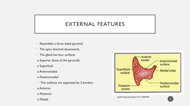 Parotid Gland Anatomy Surgical Anatomy Disease Ppt