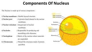 New Microsoft PowerPoint Presentation.pptx
