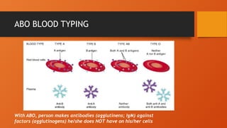 New Microsoft PowerPoint Presentation.pptx