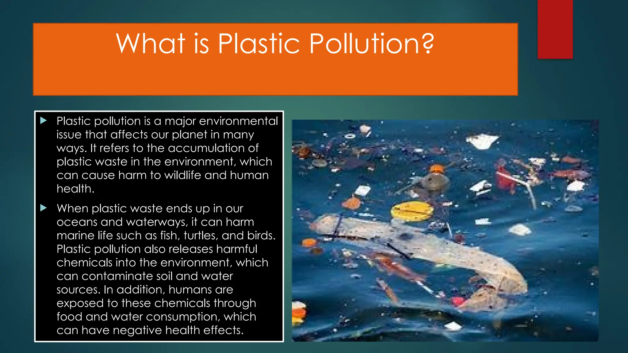Plastic population in Karakoram International university Gilgit | PPTX