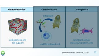 bone grafts and biomaterial substitutes for bone defect repair | PPTX