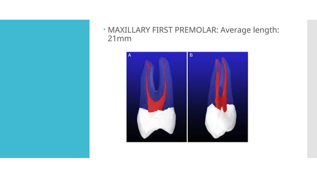 ANATOMY OF PULP AND ACCESS OPENING .pptx