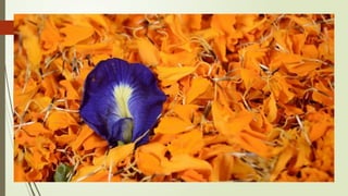 basic principles of graphics design and layout.pptx