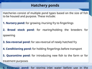 Layout & Construction of Small Scale & Large-Scale Hatchery.pptx