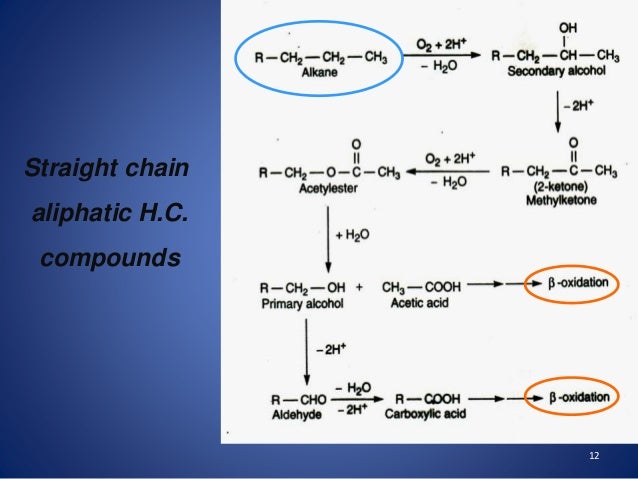 biodegradation of hydrocarbons