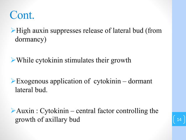 plant growth hormones(auxin and cytokinin) | PPTX