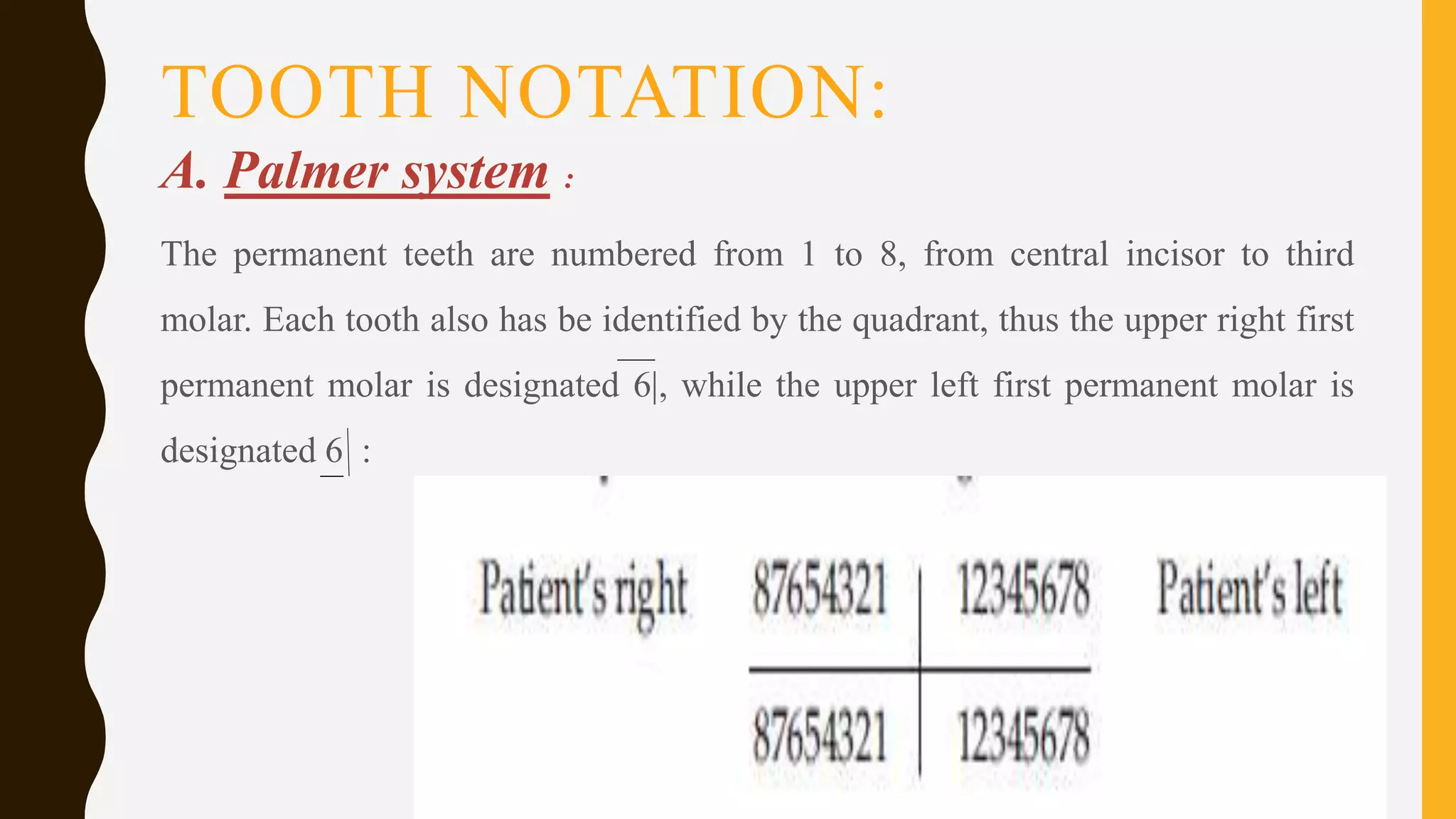 Introduction to Operative Dentistry | PPTX