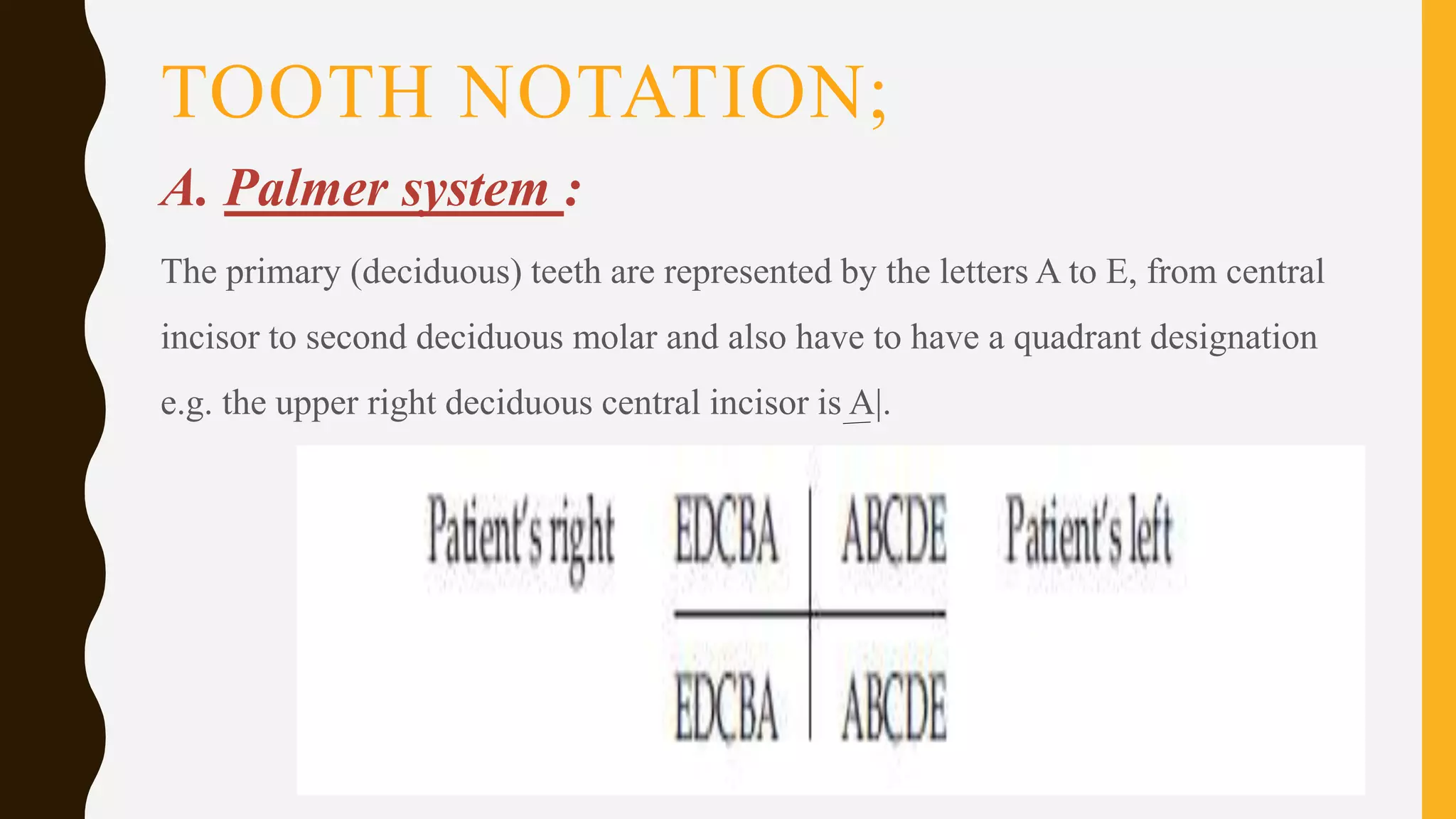 Introduction to Operative Dentistry | PPTX