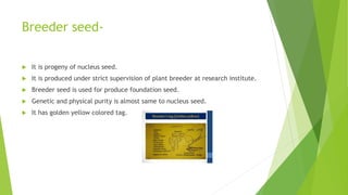 seed and its classes | PPTX