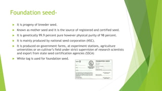 seed and its classes | PPTX