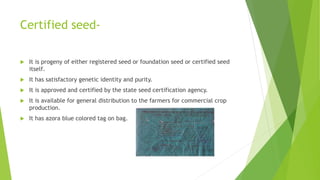 seed and its classes | PPTX