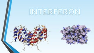 interferon | PPTX | Infectious Diseases | Diseases and Conditions