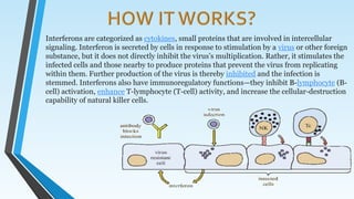 interferon | PPTX | Infectious Diseases | Diseases and Conditions