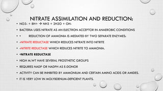 Nitrogen nutrition for plants | PPTX | Chemistry | Science