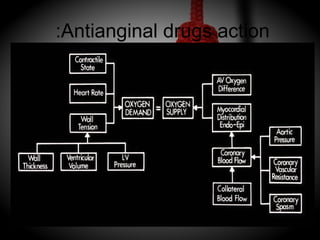 anti-anginal drugs | PPT