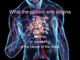 anti-anginal drugs | PPT