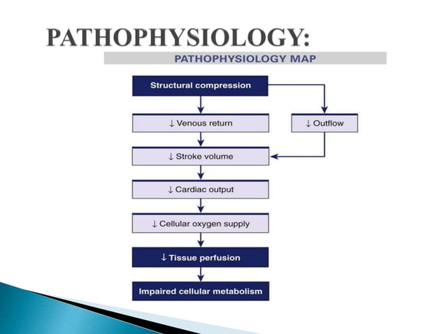 Neurogenic shock | PPTX