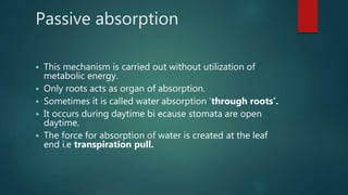 Translocation and Absorption of water by sohail | PPTX