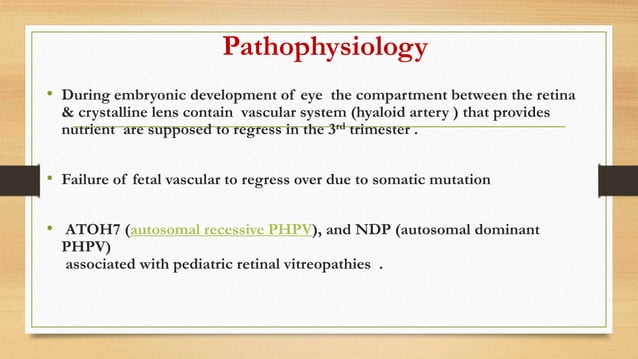 Persistent Hyperplastic Primary Vitreous Pptx