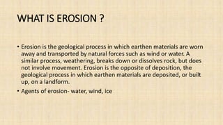 New Microsoft PowerPoint Presentation (2).pptx