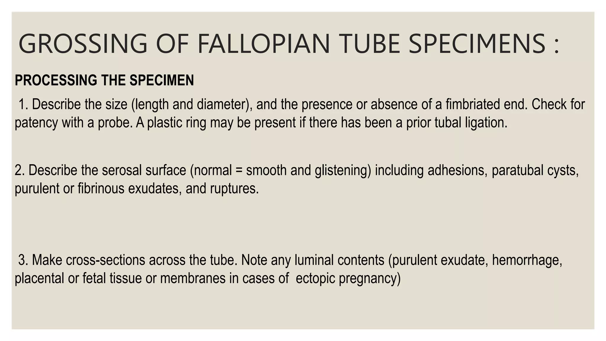 Grossing of hysterectomy specimens | PPTX