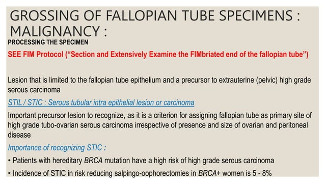 Grossing of hysterectomy specimens | PPTX