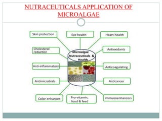 MICROALGAE AND ITS USE IN NUTRACEUTICALS AND FOOD SUPPLEMENTSpptx | PPTX