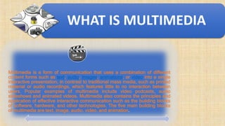 Exploring the Multifaceted World of Multimedia: A Comprehensive ...