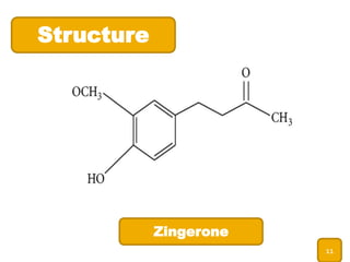 Ginger presentation | PPTX