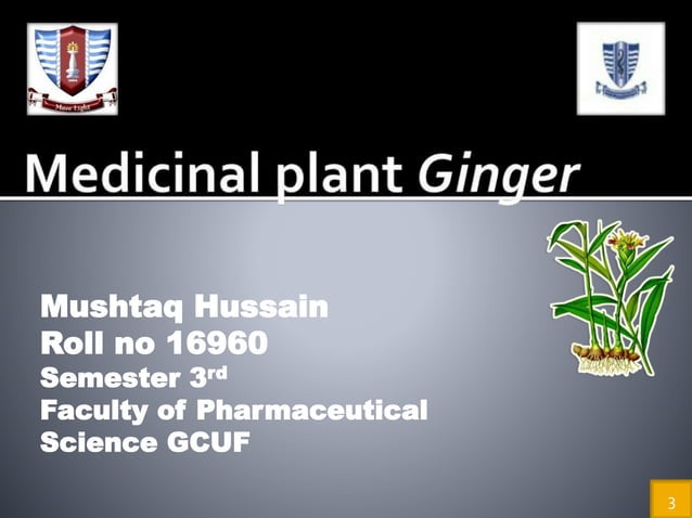 Ginger presentation | PPT