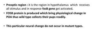 RELATION OF GENE , NEUROLOGY AND BEHAVIOUR CASE STUDY ANIMAL BEHAVIOUR ...