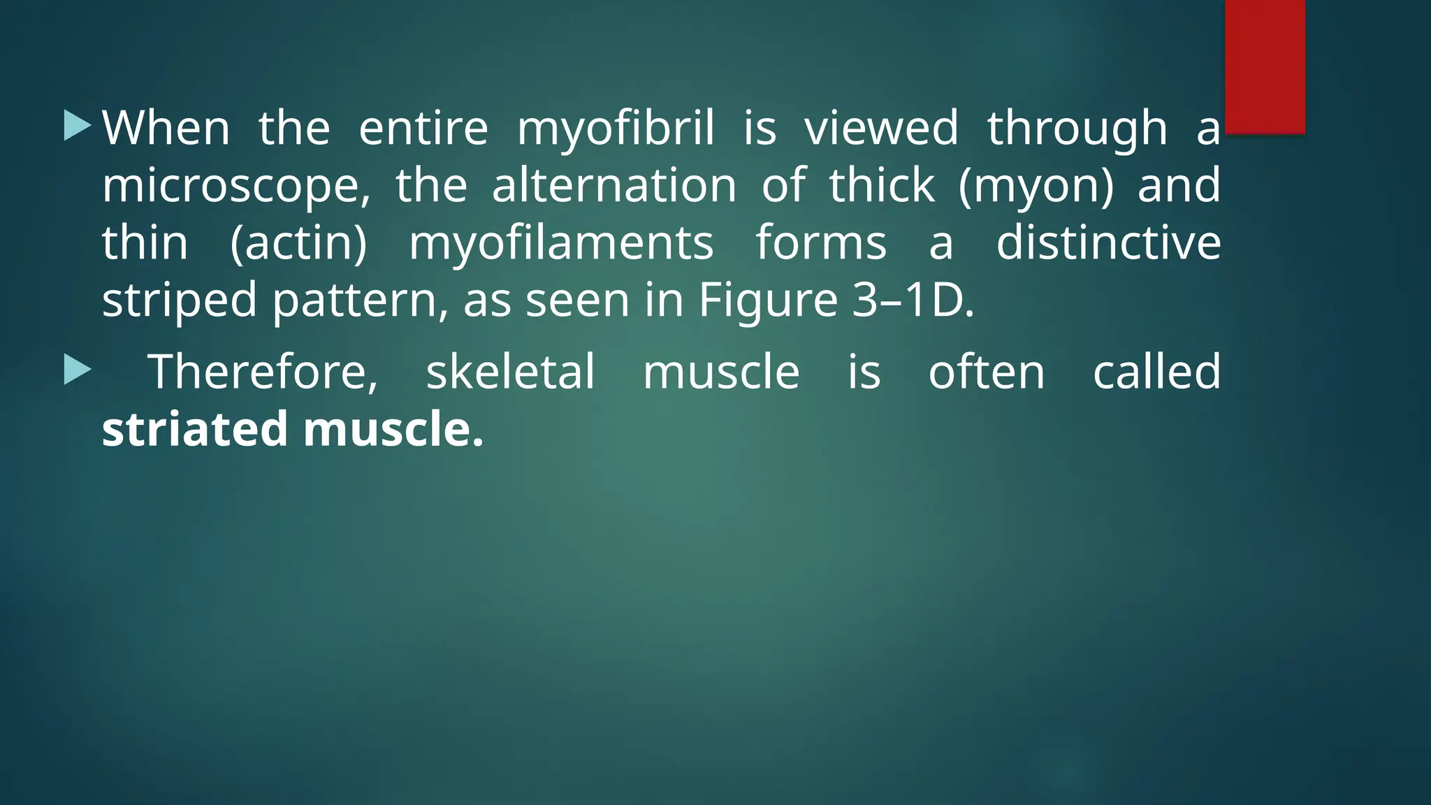 Muscle Mechanics: Muscle physiology in physiotherapy | PPTX