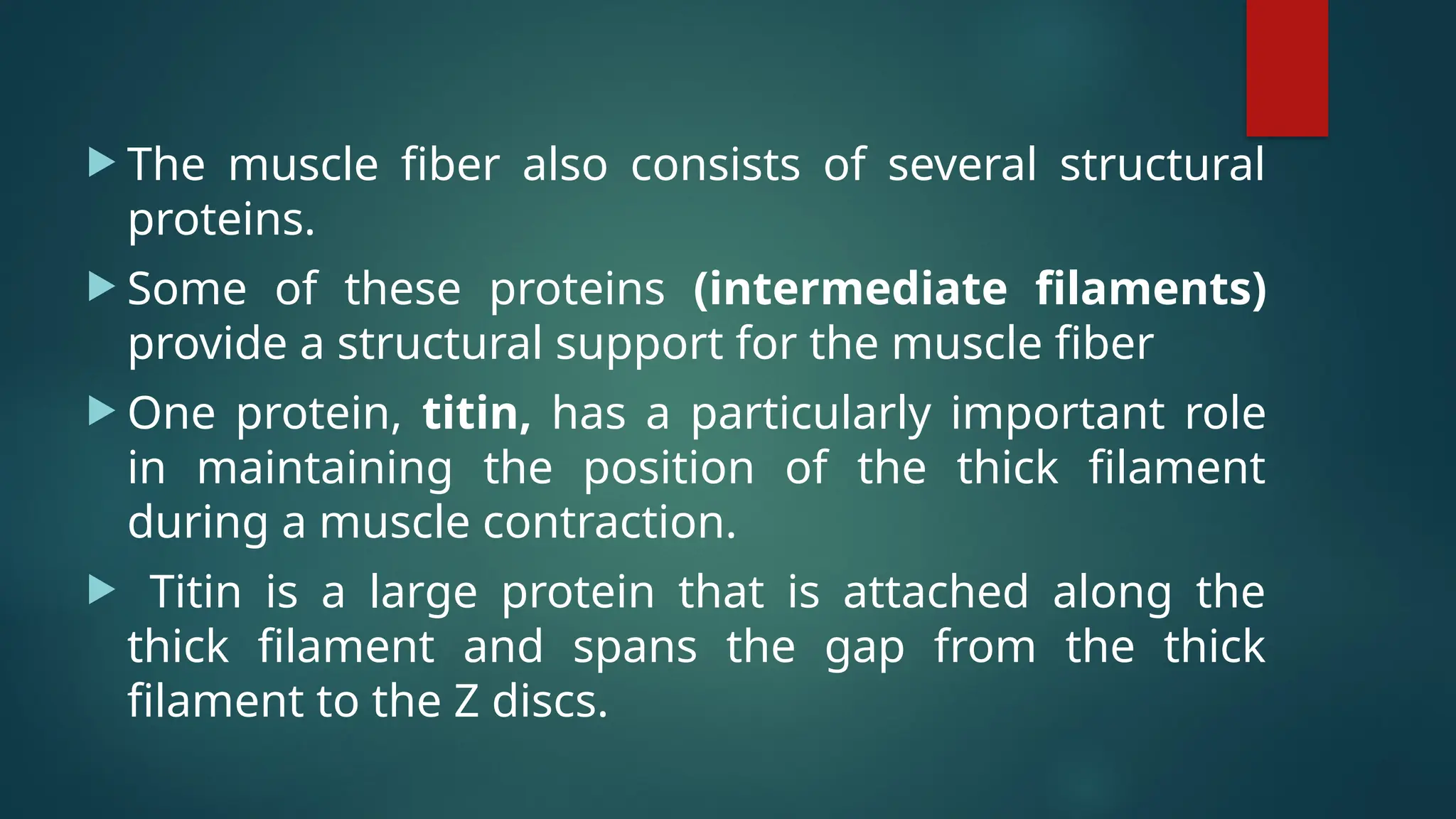 Muscle Mechanics: Muscle physiology in physiotherapy | PPTX