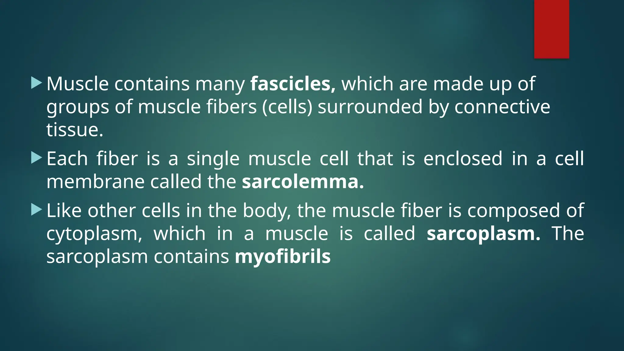 Muscle Mechanics: Muscle physiology in physiotherapy | PPTX