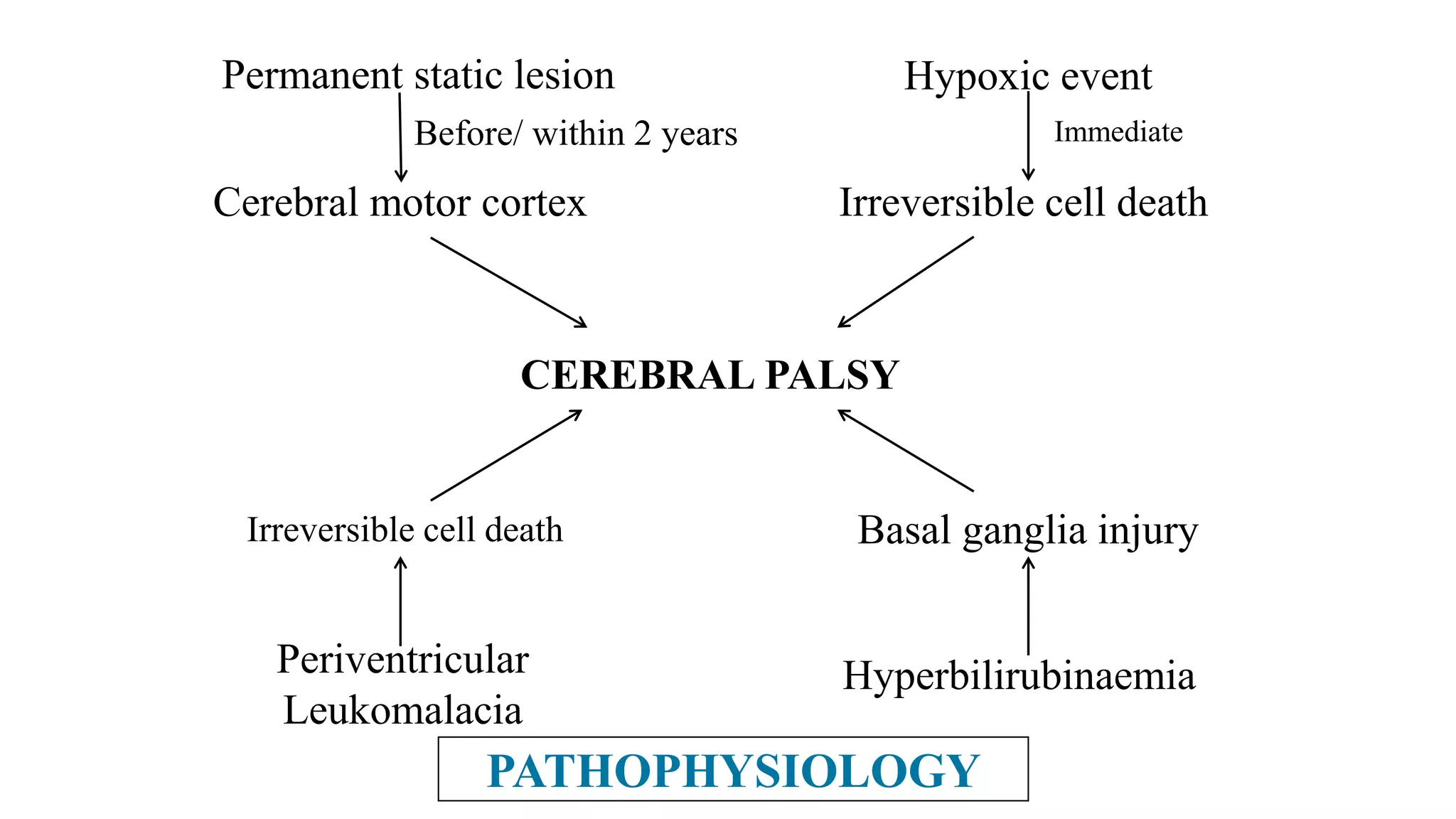 Cerebral palsy physiotherapy management | PPTX