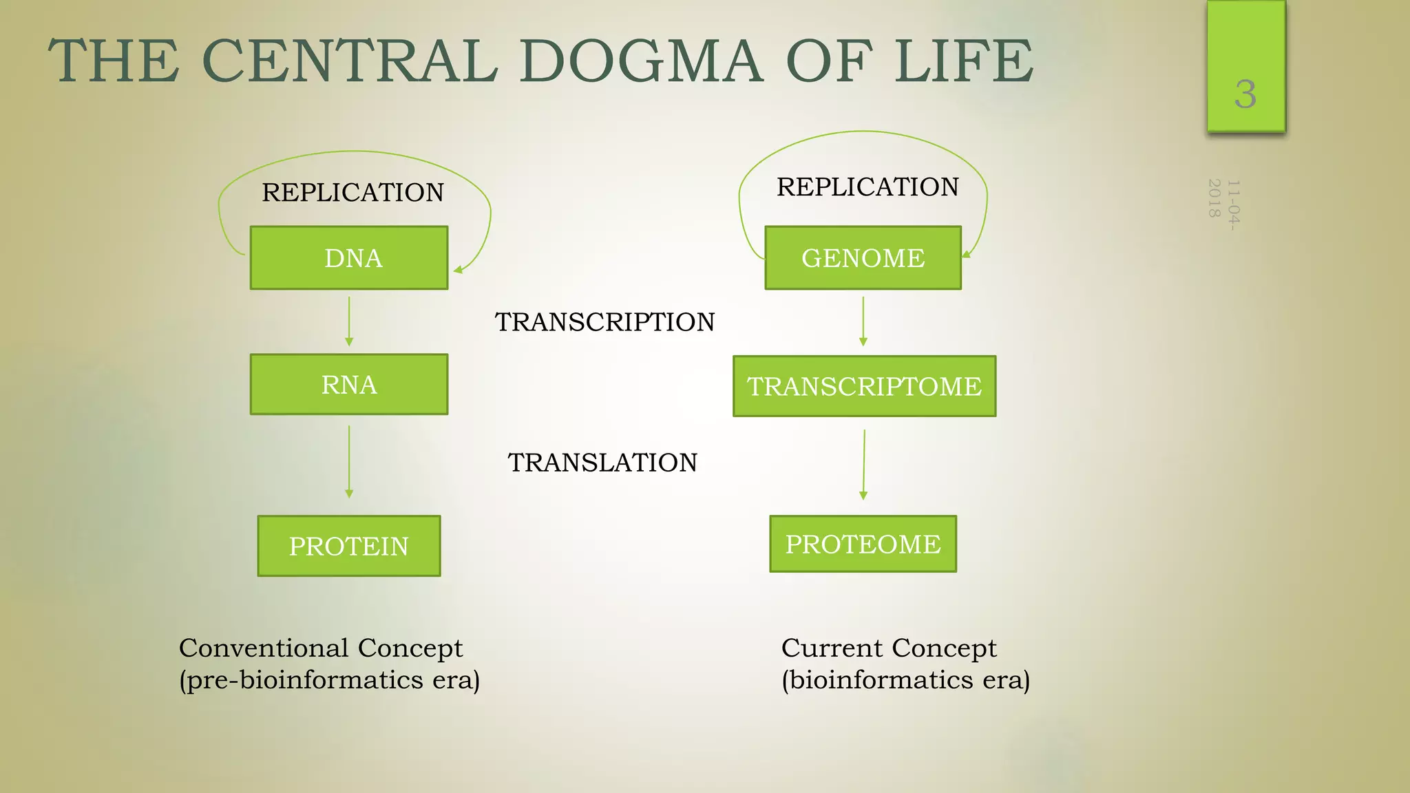 MOLECULAR GENETICS : PROKARYOTIC TRANSCRIPTION OR RNA SYNTHESIS BY DNA ...