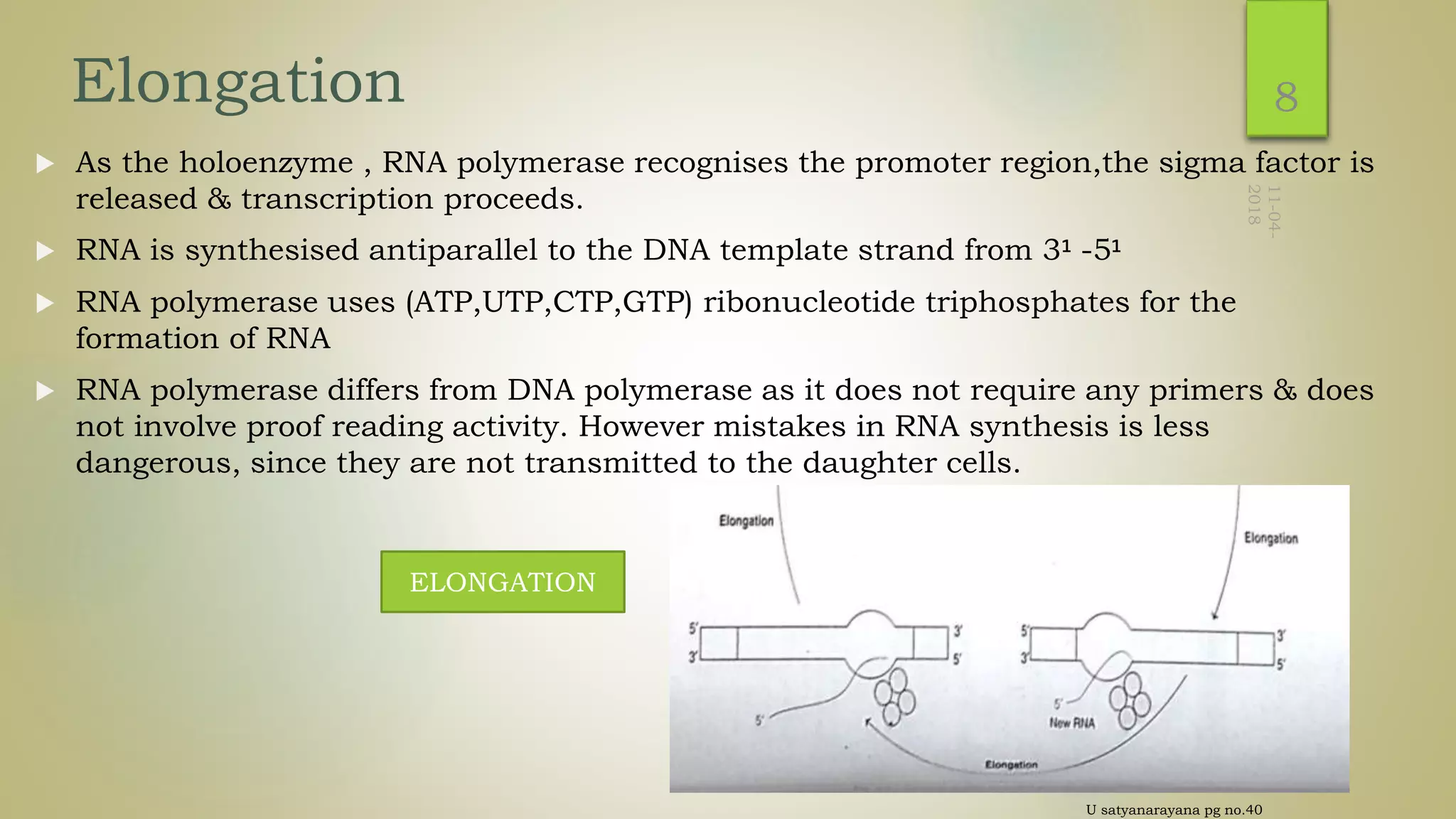 MOLECULAR GENETICS : PROKARYOTIC TRANSCRIPTION OR RNA SYNTHESIS BY DNA ...