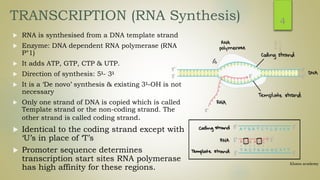 MOLECULAR GENETICS : PROKARYOTIC TRANSCRIPTION OR RNA SYNTHESIS BY DNA ...