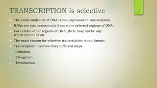 MOLECULAR GENETICS : PROKARYOTIC TRANSCRIPTION OR RNA SYNTHESIS BY DNA ...