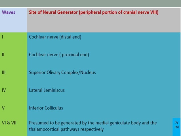 OAE and BERA ( otoacoustic emissions and brainstem evoked response ...