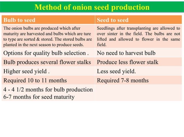 Onion Seed Production Technique - introduction | PPTX