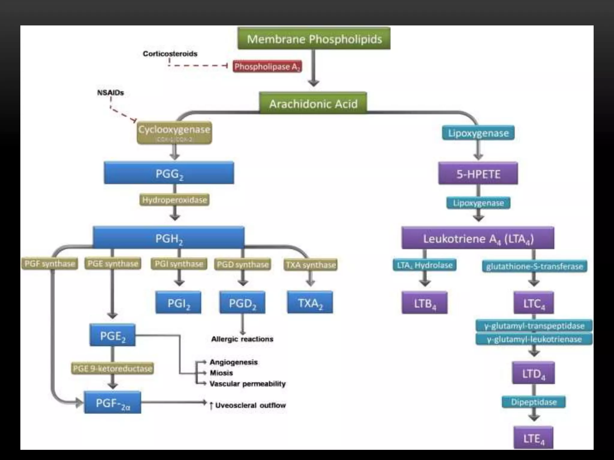 steroids and NSAIDS | PPTX