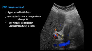 Gallbladder anatomy and the shape by Echo | PDF